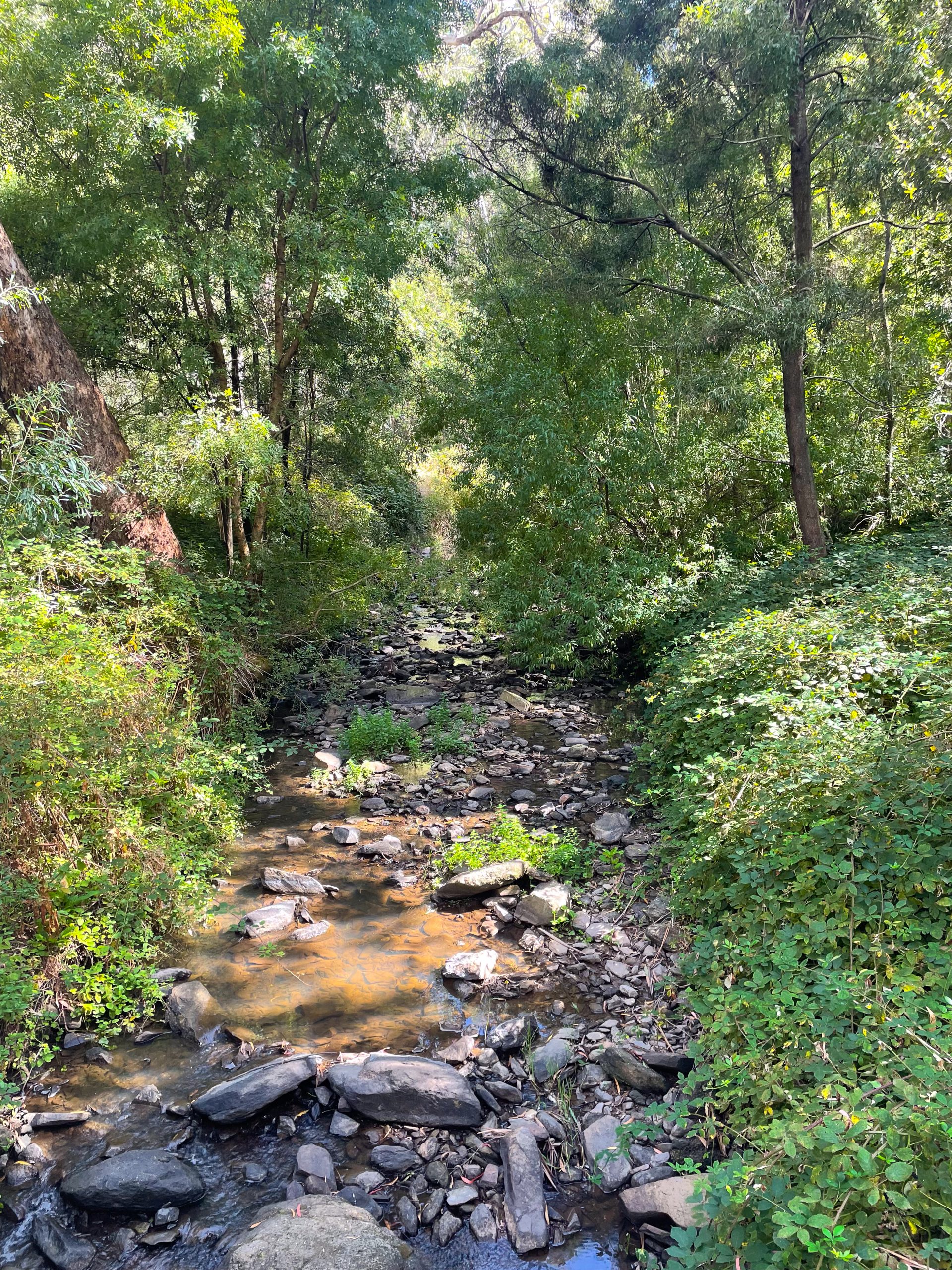 5 walking trails we love | communikate et al