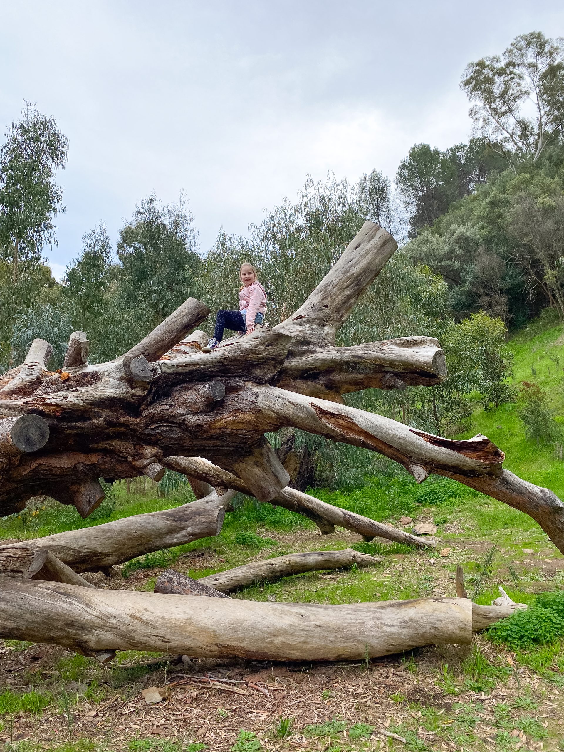 5 walking trails we love | communikate et al